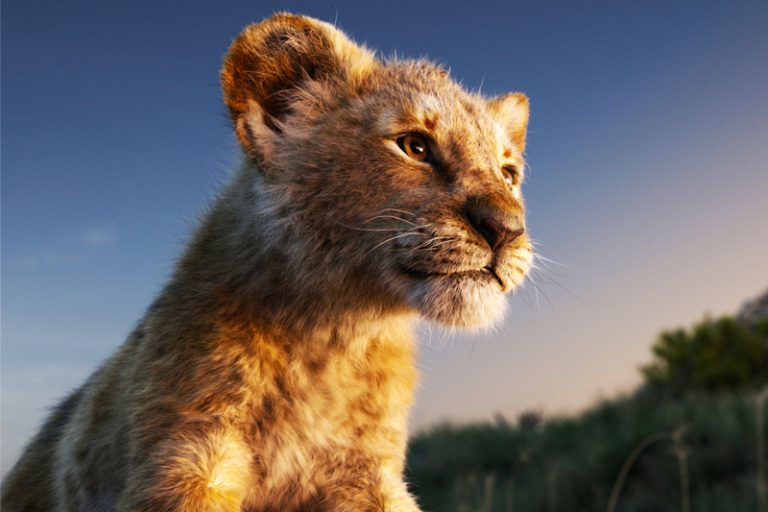 Bahati แห่ง Dallas Zoo ต้นแบบเจ้าสิงโตตัวน้อย "ซิมบ้า" ใน The Lion King ...